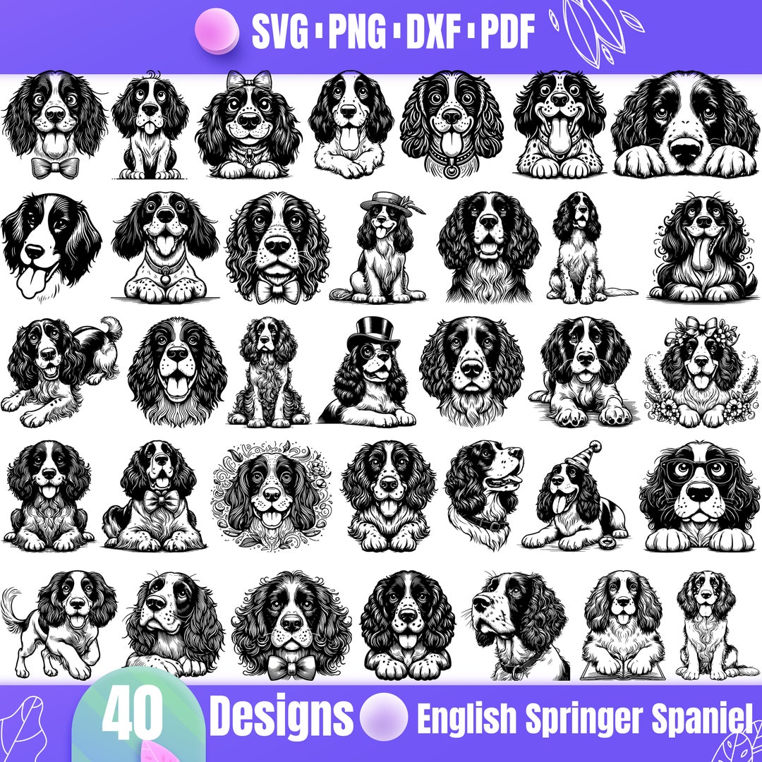 High Quality English Springer Spaniel SVG Bundle, English Springer Dxf ...