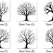 High Quality Bare Tree SVG Bundle, Leafless Tree Svg, Forest Tree Svg ...