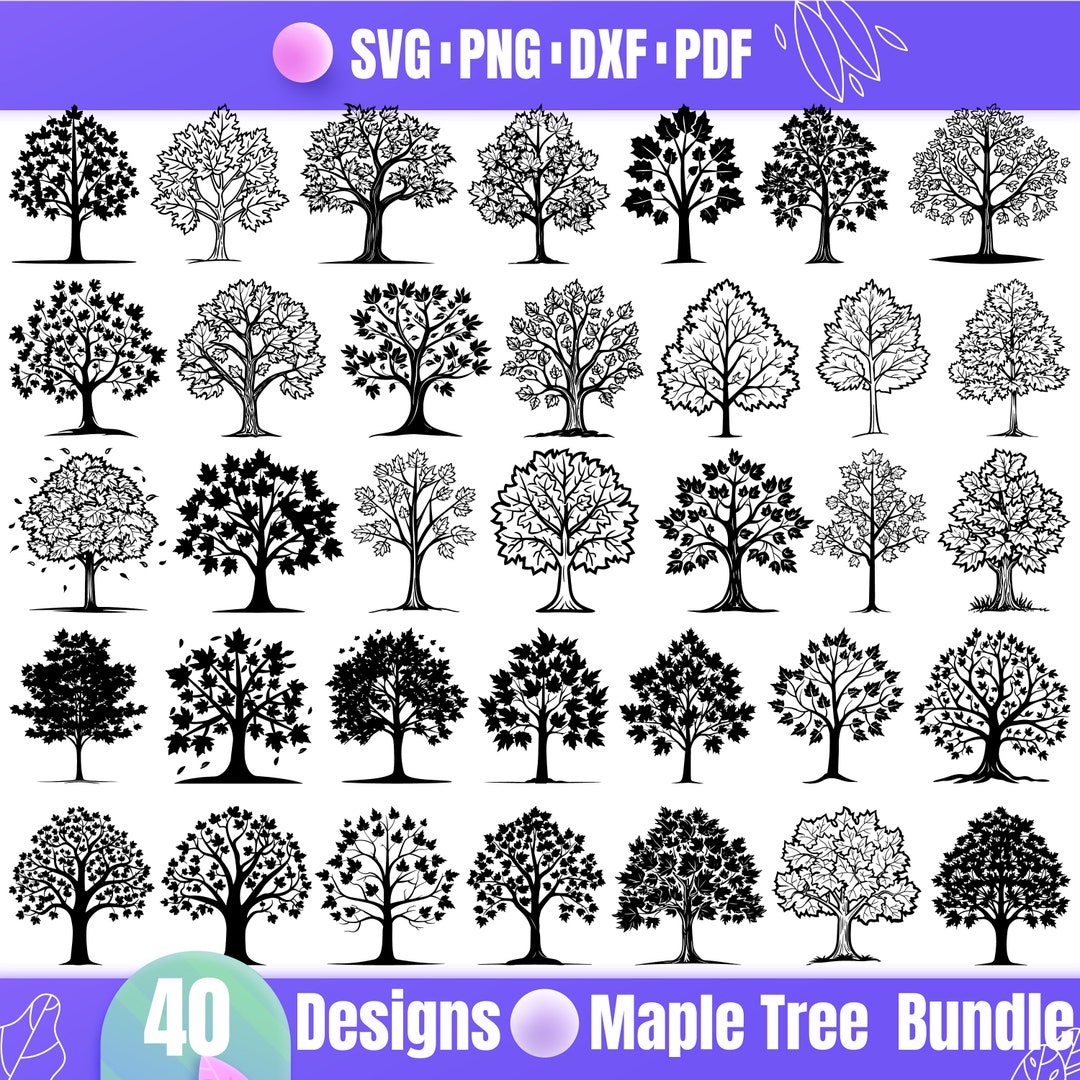 High Quality Maple Tree SVG Bundle, Maple Tree Dxf, Maple Tree Png ...