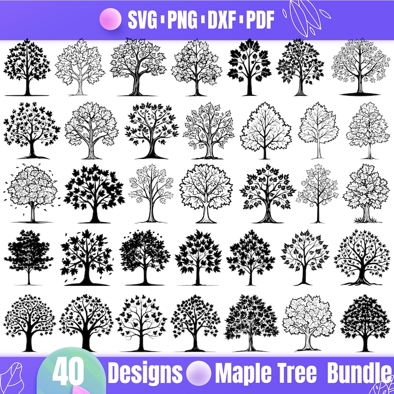 High Quality Maple Tree SVG Bundle, Maple Tree Dxf, Maple Tree Png ...
