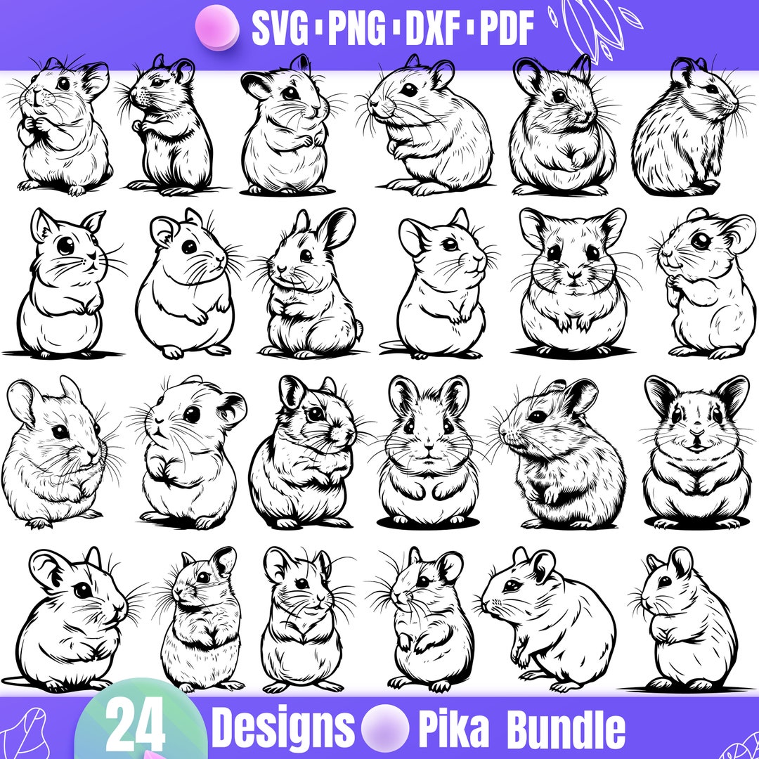 High Quality Pika SVG Bundle, Pika Dxf, Pika Png, Pika Vector, Pika ...