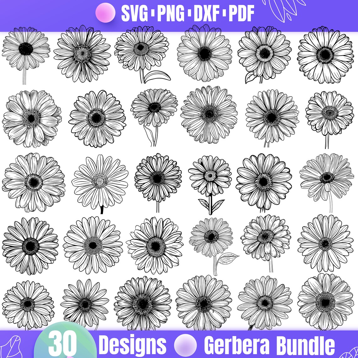 High Quality Gerbera SVG Bundle, Gerbera Dxf, Gerbera Png, Gerbera ...
