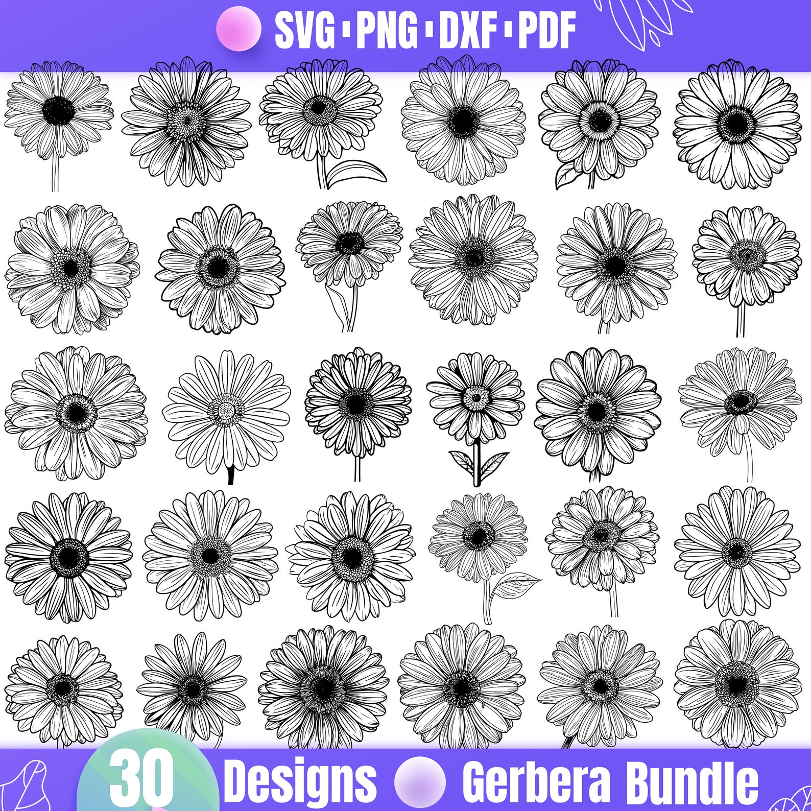 High Quality Gerbera SVG Bundle, Gerbera Dxf, Gerbera Png, Gerbera ...
