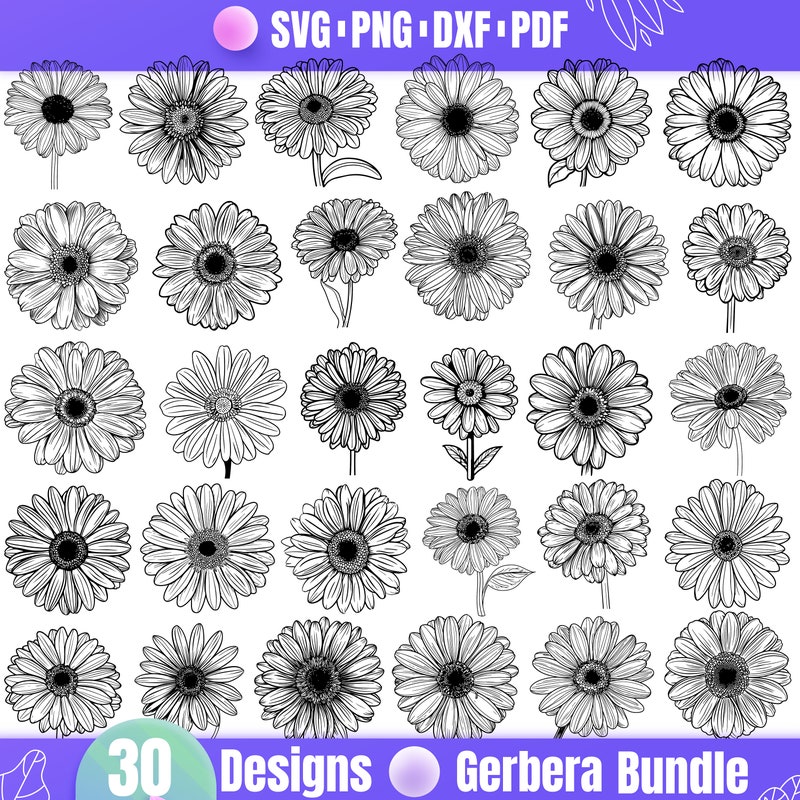 Daisy Svg - Etsy