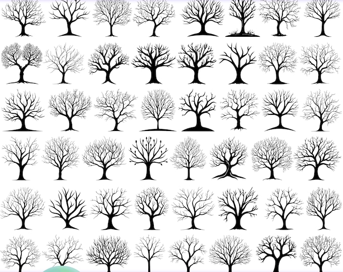 Bare Tree Svg Bundle, Leafless Tree Svg, Rustic Tree Svg, Tree Vector ...