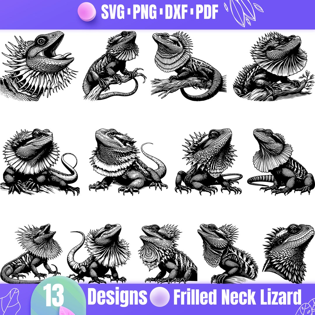 13 Frilled Neck Lizard SVG Bundle | Bearded Dragon | Reptile Vector ...