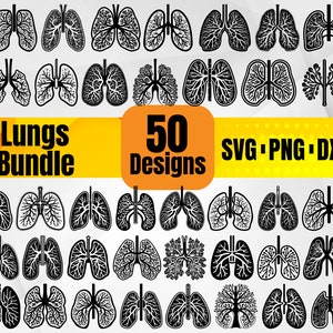 High Quality Lungs SVG Bundle, Lungs Anatomy Svg, Human Lungs Svg ...