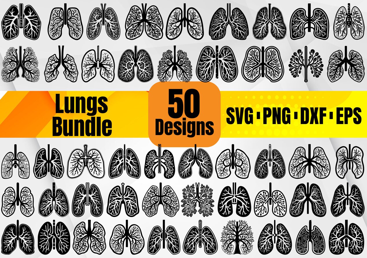 High Quality Lungs SVG Bundle Lungs Anatomy Svg Human Lungs - Etsy