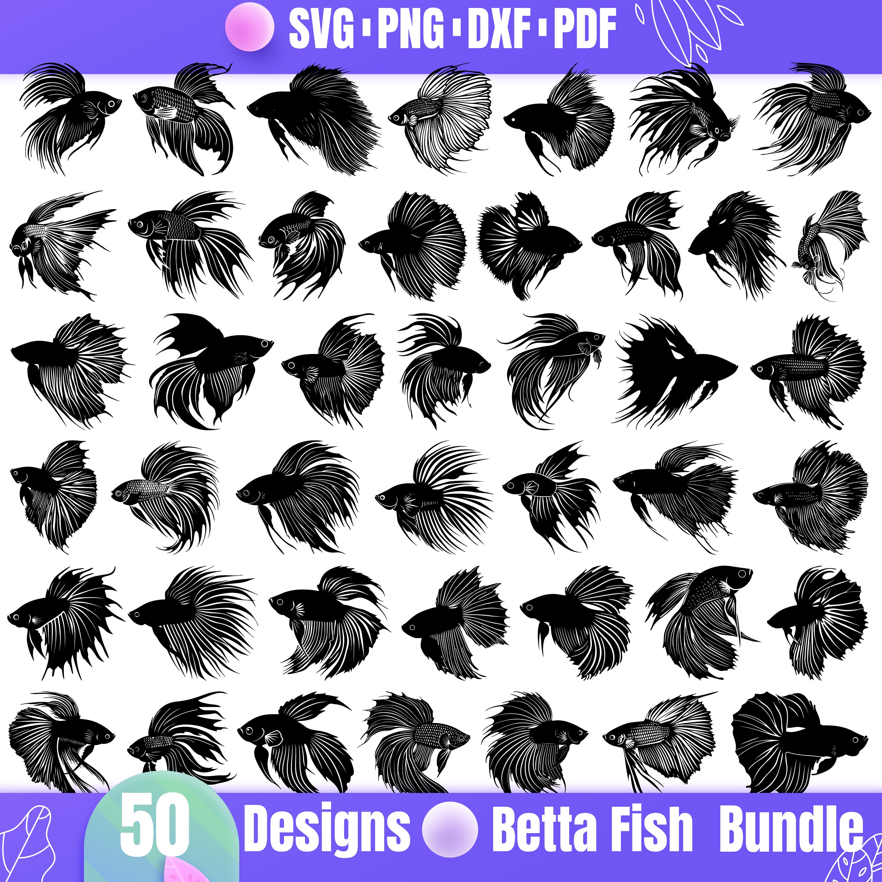 High Quality Betta Fish SVG Bundle, Betta Fish Dxf, Betta Fish Png ...
