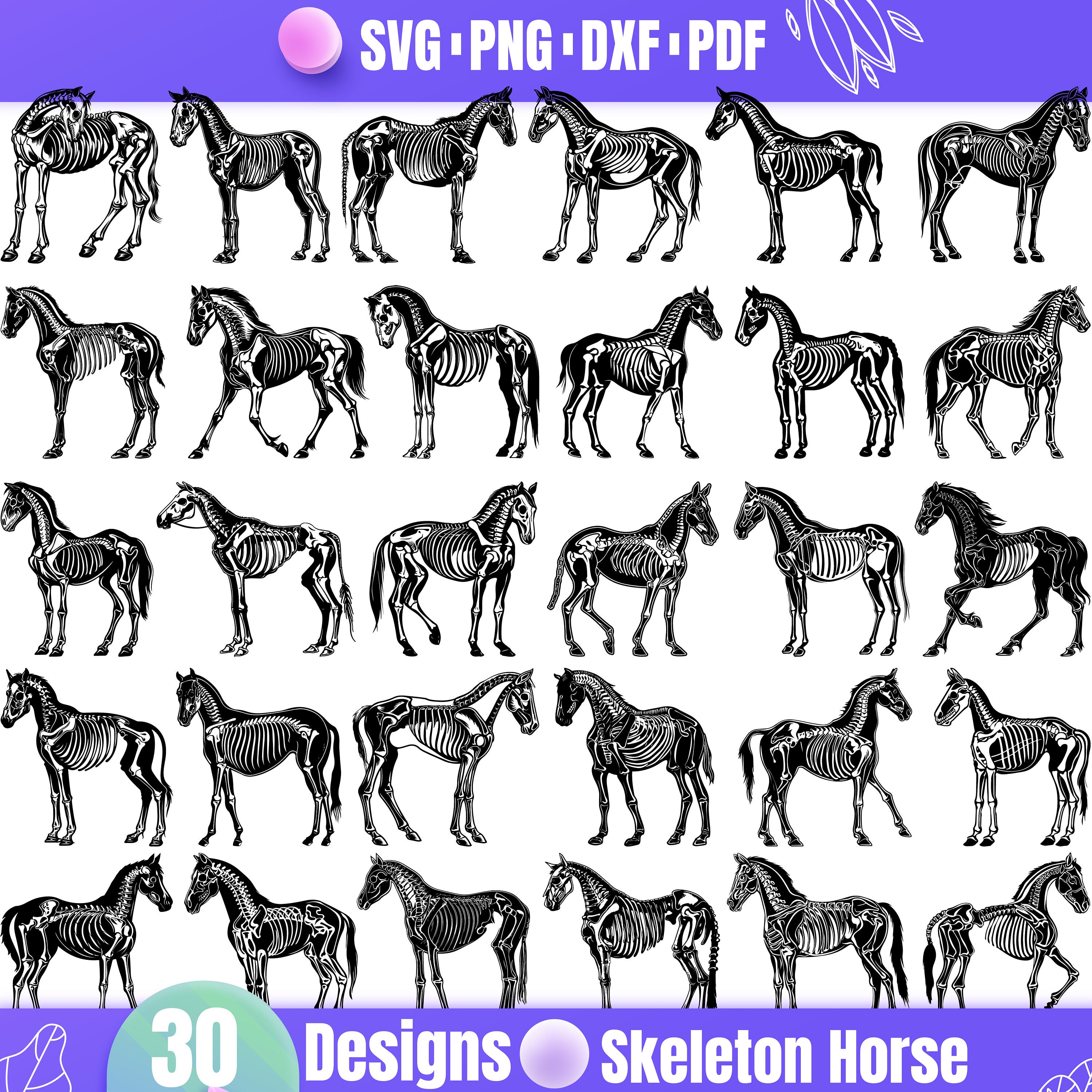 High Quality Skeleton Horse SVG Bundle, Skeleton Horse Dxf, Skeleton ...