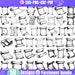 High Quality Parchment SVG Bundle, Parchment Dxf, Parchment Png ...