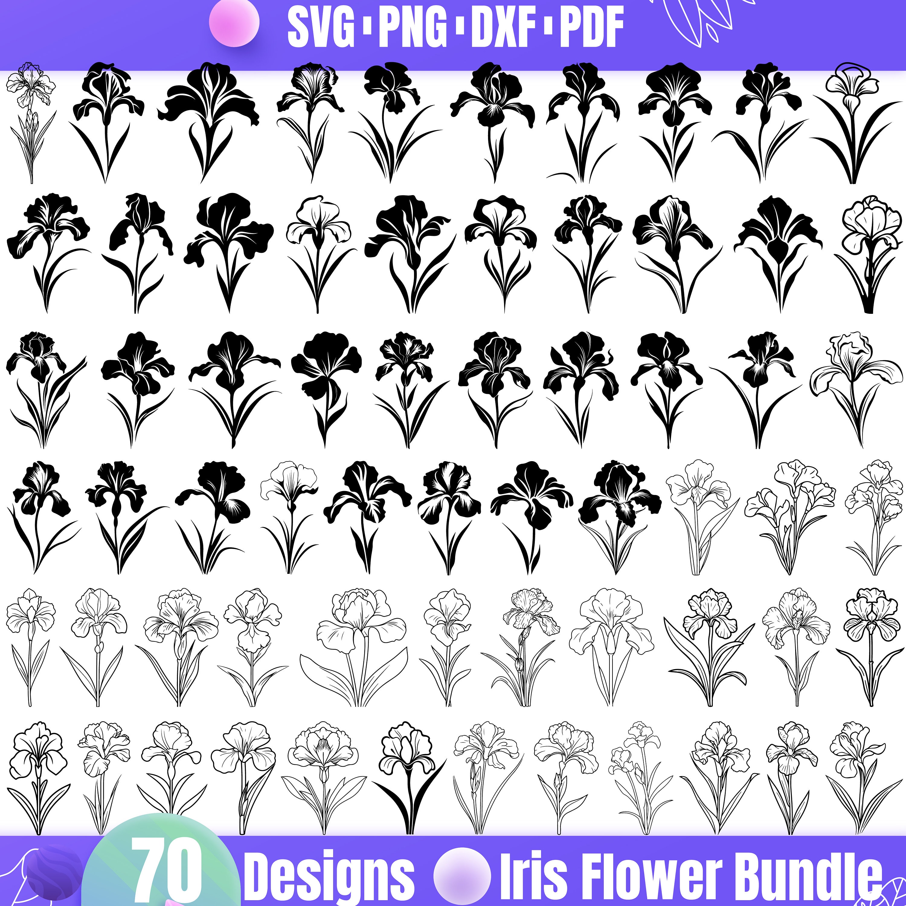 High Quality Iris SVG Bundle, Iris Flower Svg, Iris Monogram, Iris Dxf ...