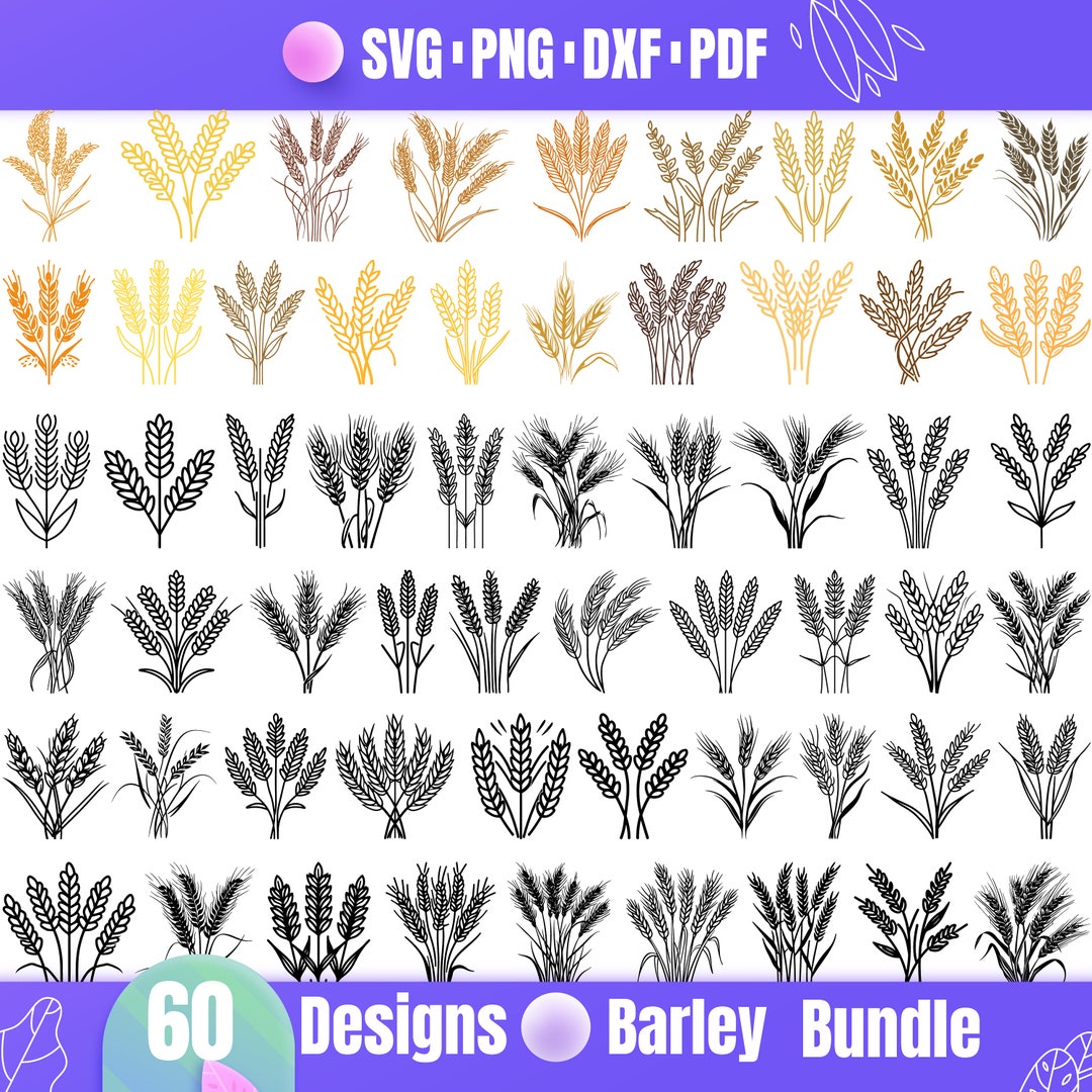 High Quality Barley SVG Bundle, Barley Dxf, Barley Png, Barley Vector ...