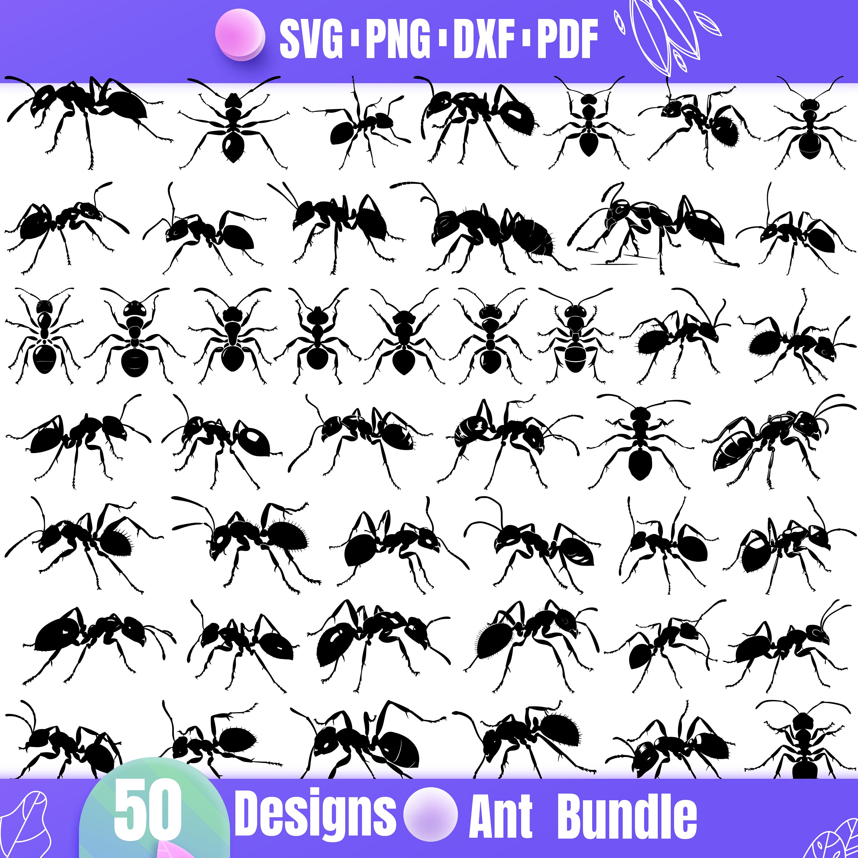 High Quality Ant SVG Bundle, Ant Dxf, Ant Png, Ant Vector, Ant Clipart ...