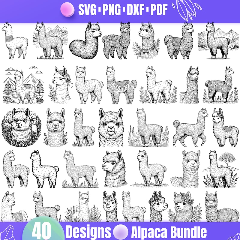 Alpaca Svg - Etsy