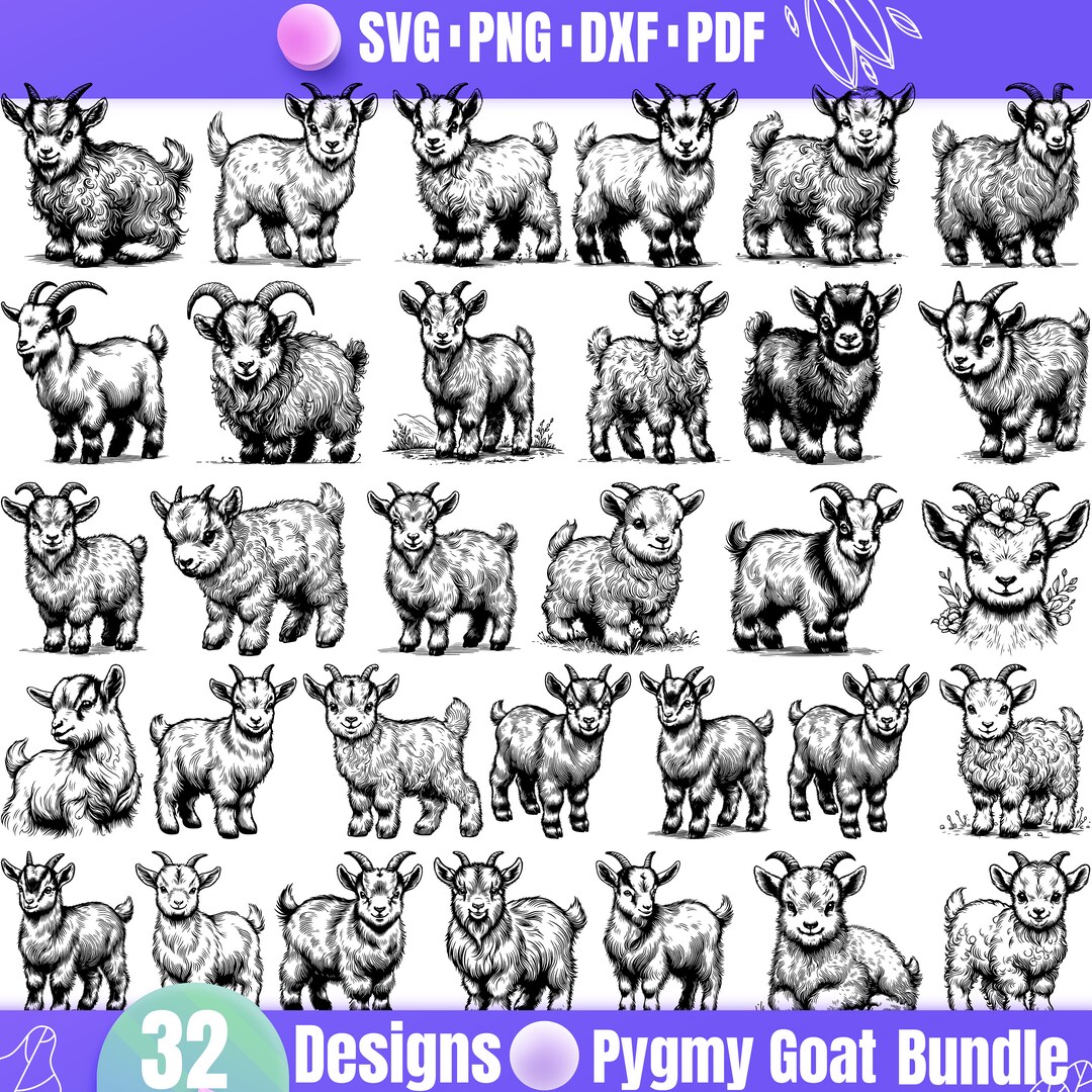 High Quality Pygmy Goat SVG Bundle, Pygmy Goat Dxf, Pygmy Goat Png ...