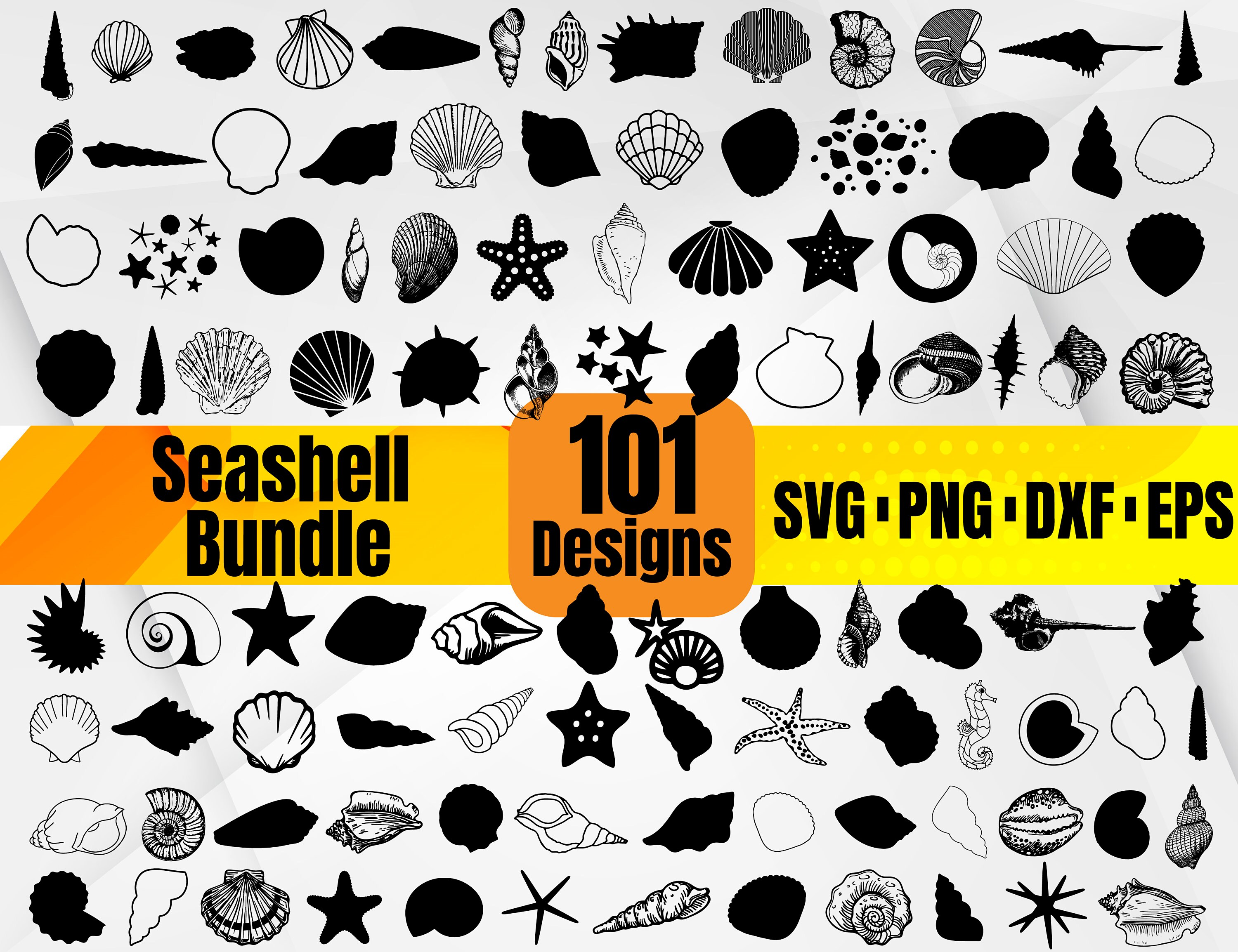 High Quality Seashell SVG Bundle, Seashell Monogram, Seashell Svg ...