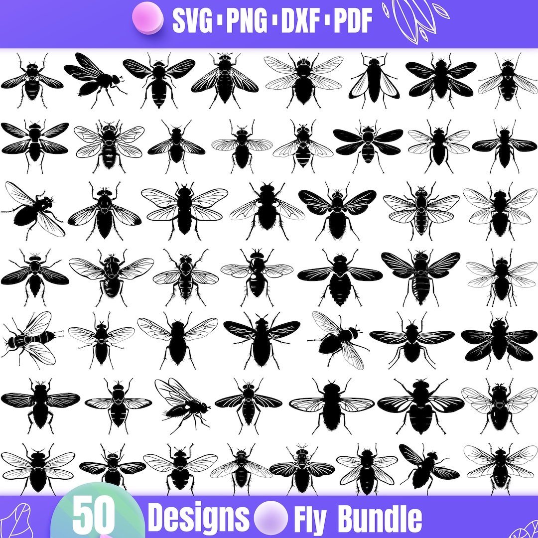 High Quality Fly SVG Bundle, Fly Dxf, Fly Png, Fly Vector, Fly Clipart ...