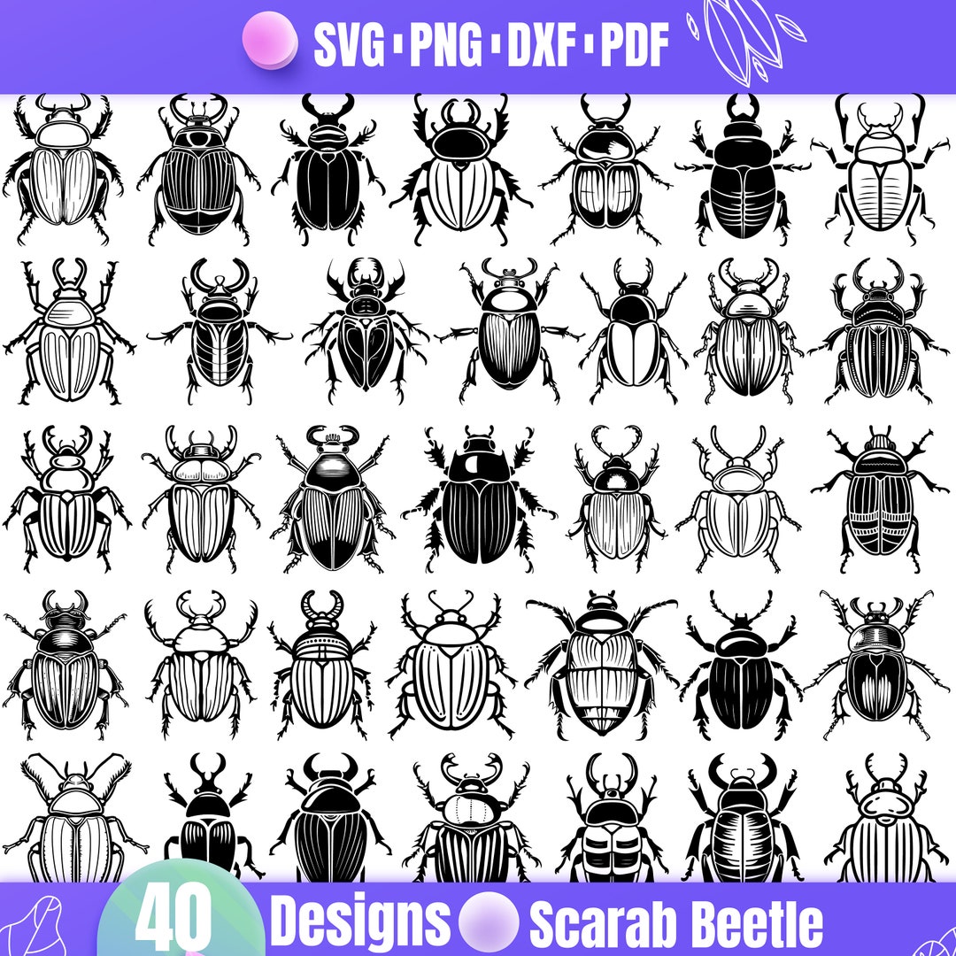 High Quality Scarab Beetle SVG Bundle, Scarab Beetle Dxf, Scarab Beetle ...