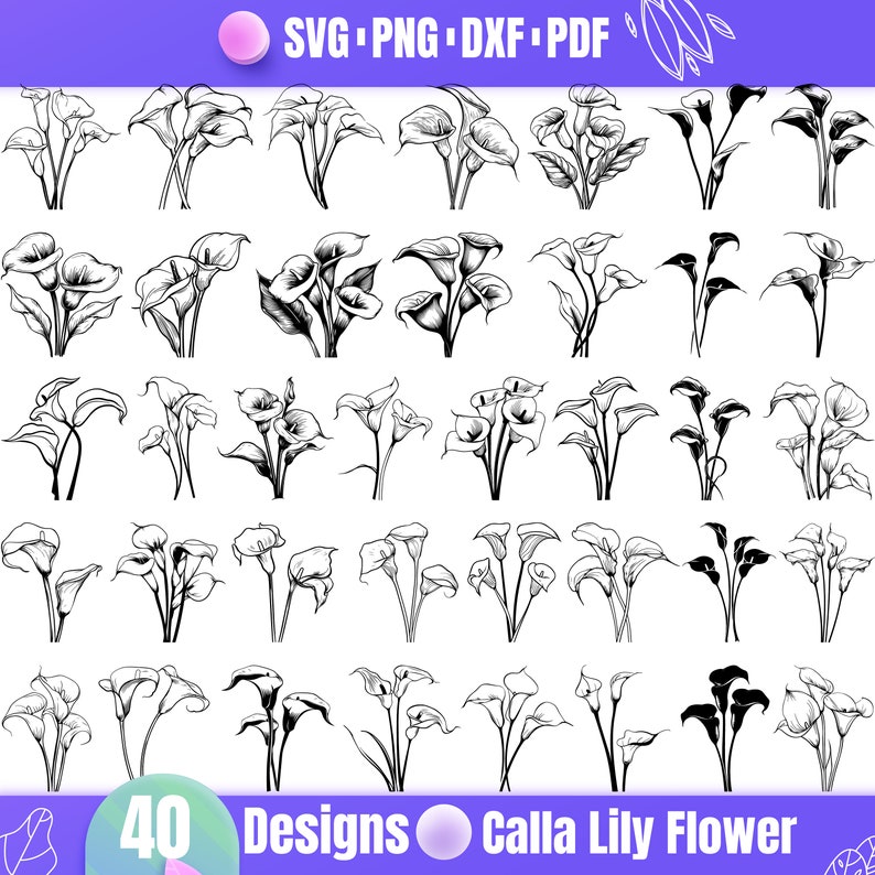 High Quality Calla Lily Flower SVG Bundle, Calla Lily Dxf, Calla Lily ...