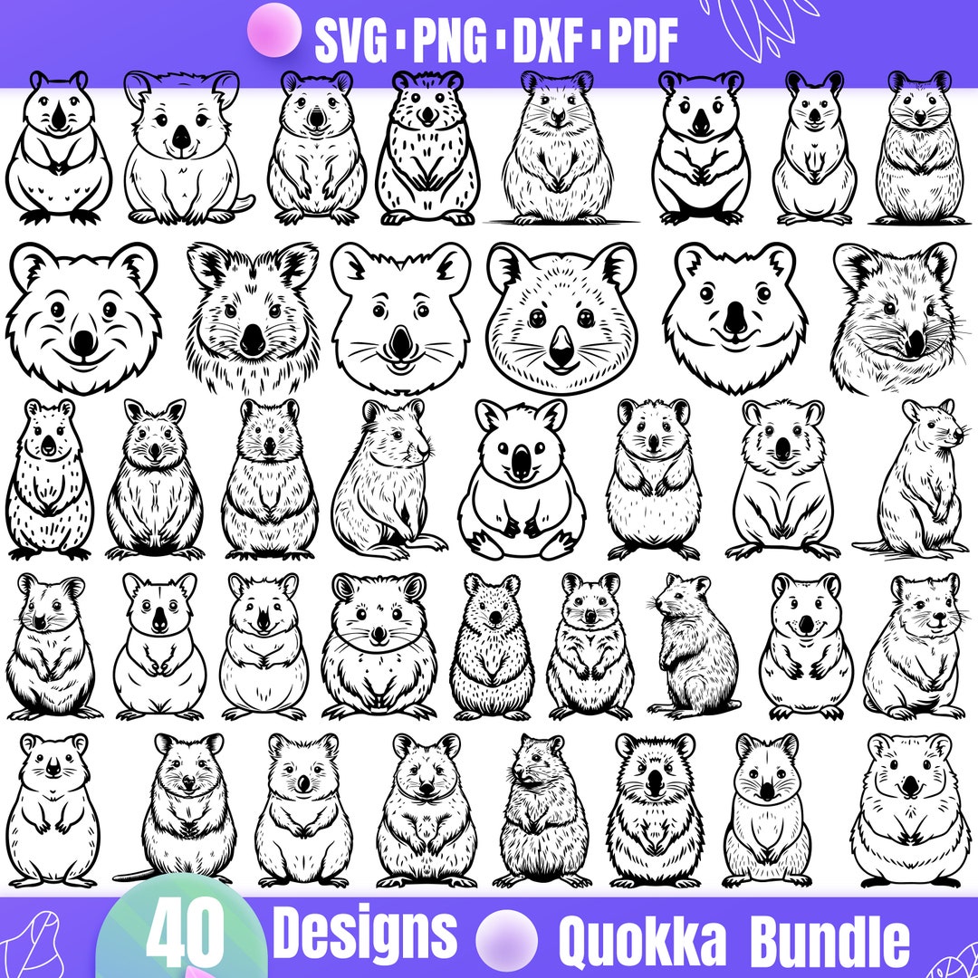 Quokka Svg | Adorable Australian Animal Clipart for Crafts - Etsy
