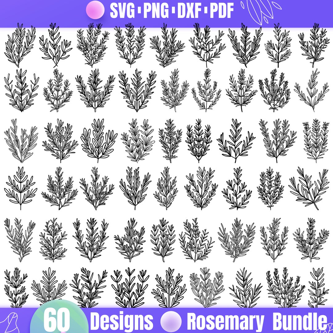 Rosemary SVG Bundle: Botanical Herb Clipart (60 Designs) - Etsy