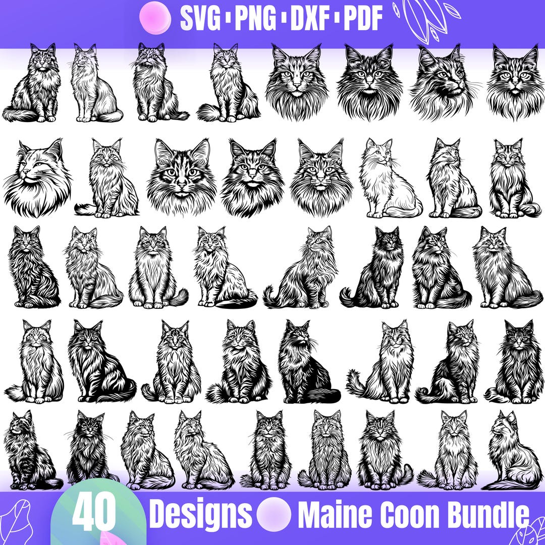 High Quality Maine Coon SVG Bundle, Maine Coon Dxf, Maine Coon Png ...
