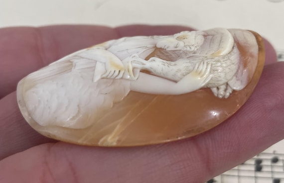 Rare Large Antique Italian Carved Shell Cameo Mytholo… - Gem