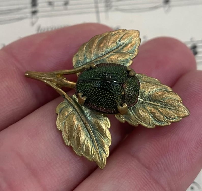 Rare Antique English Art Nouveau Real Scarab Brooch Pin Leaves C1900 - Etsy