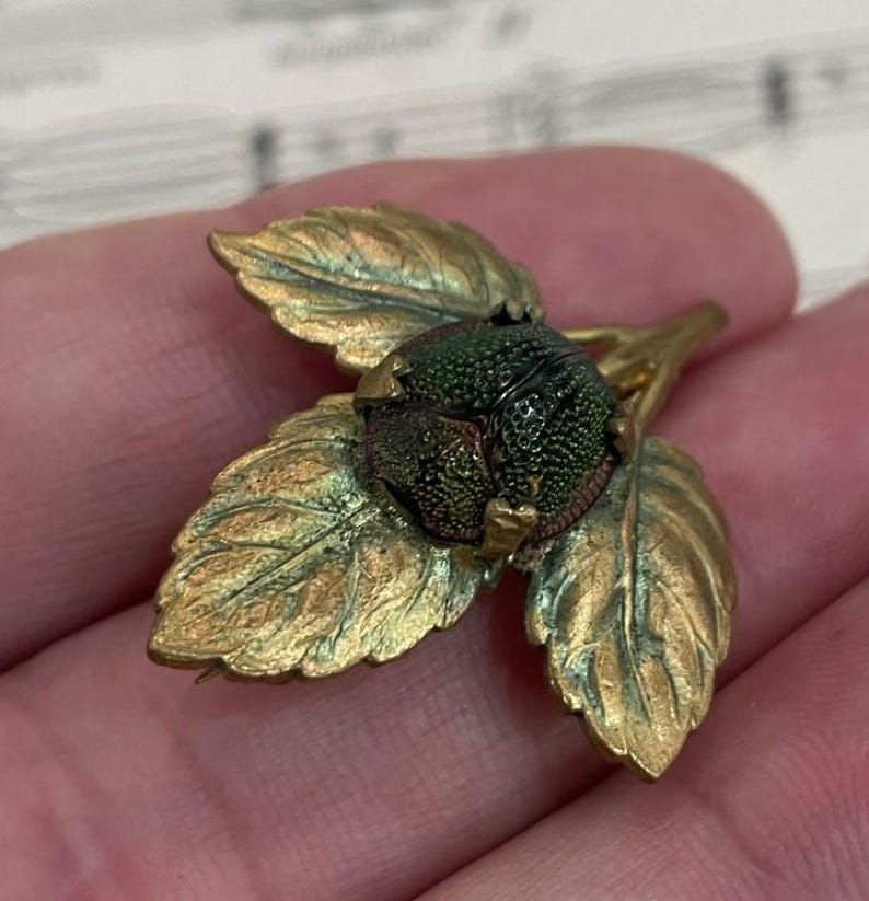 Rare Antique English Art Nouveau Real Scarab Brooch Pin Leaves C1900 - Etsy