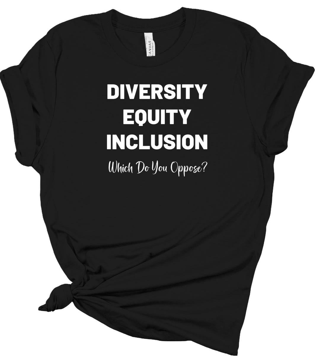 DEI Shirt, Diversity Equity Inclusion Short Sleeve Tee, DEI Which Do ...