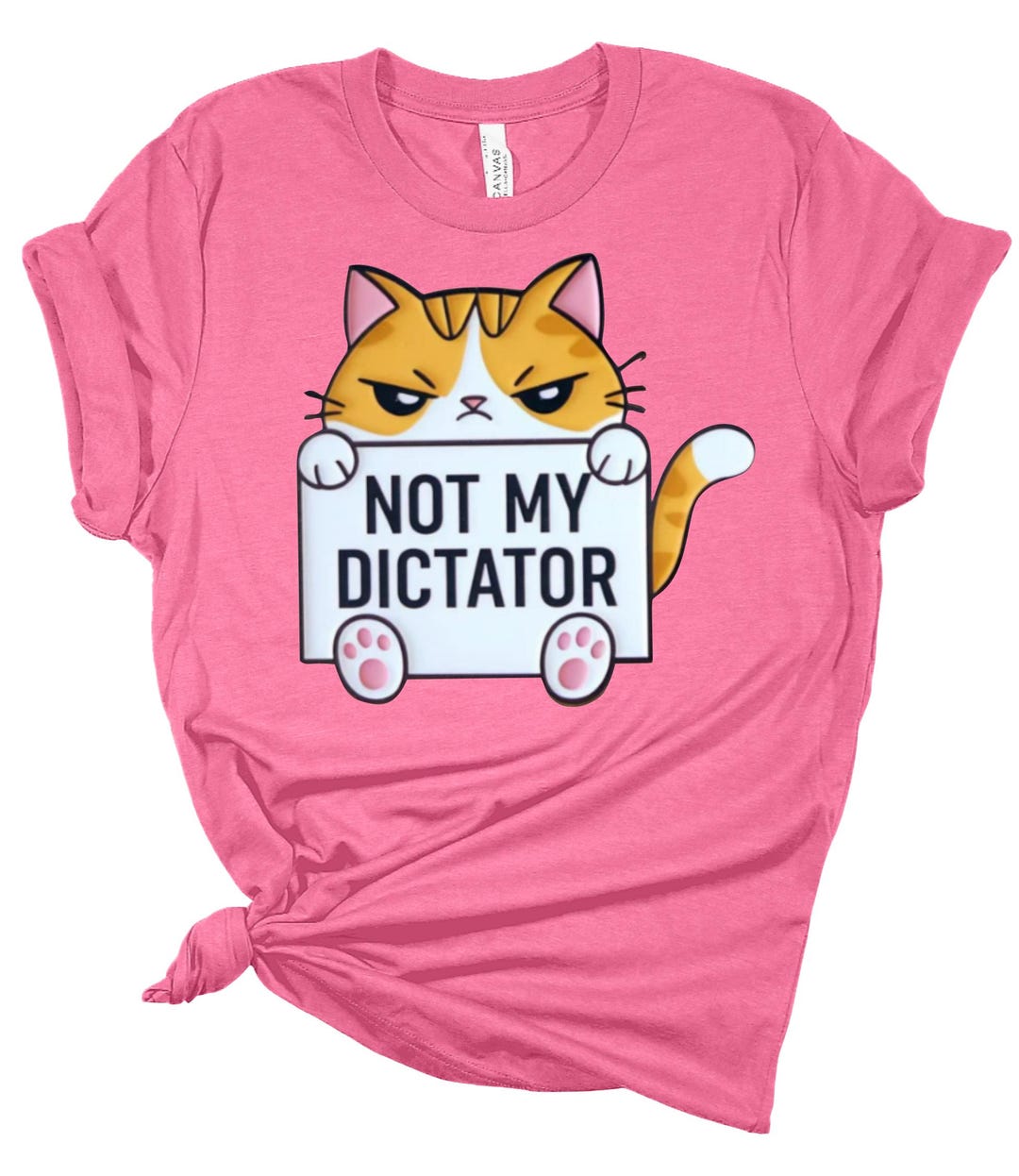 Not My Dictator Anti-trump Shirt With Cat Graphic - Political Protest ...