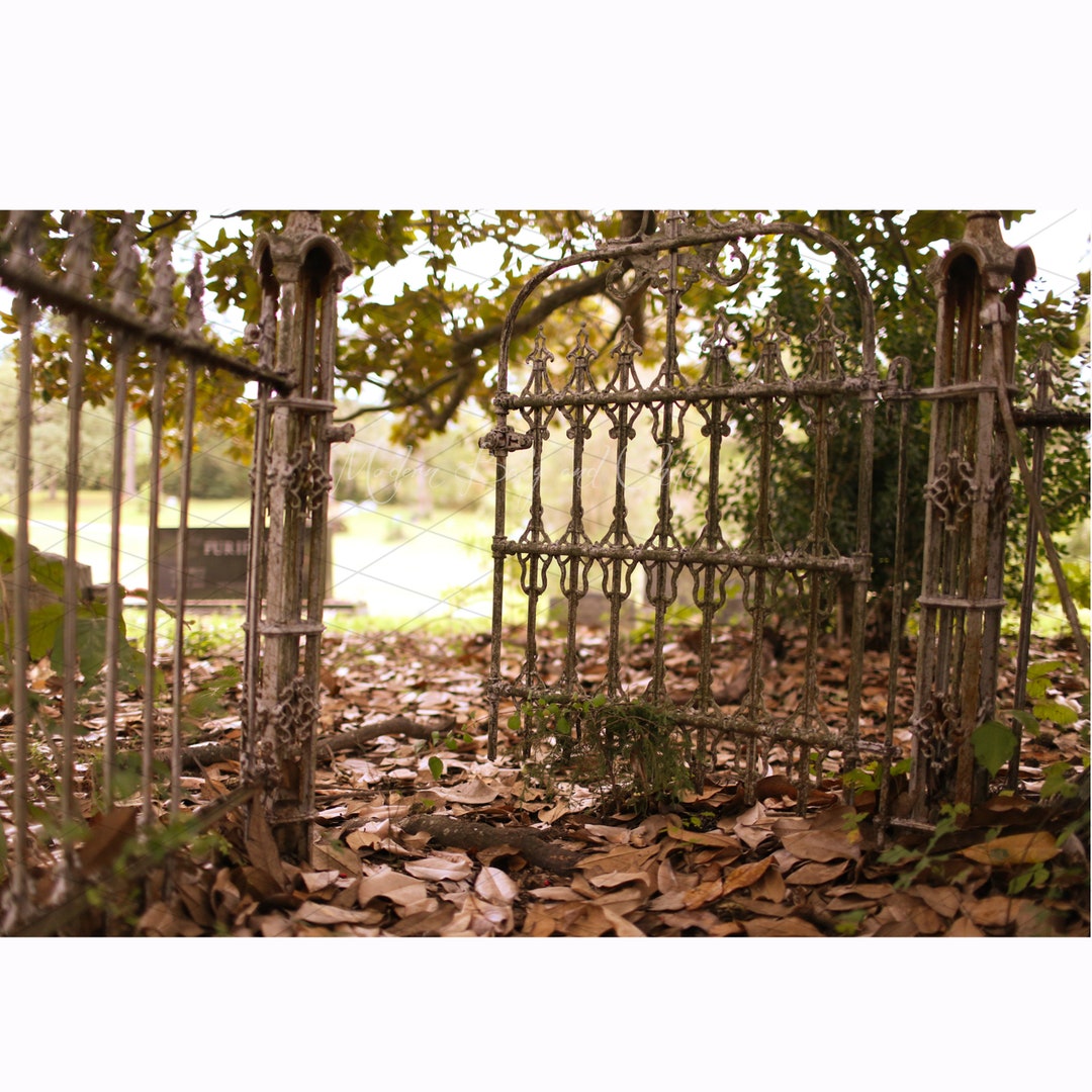 Victorian Iron Gate Backdrop Fall Digital Prop Fall Leaves - Etsy