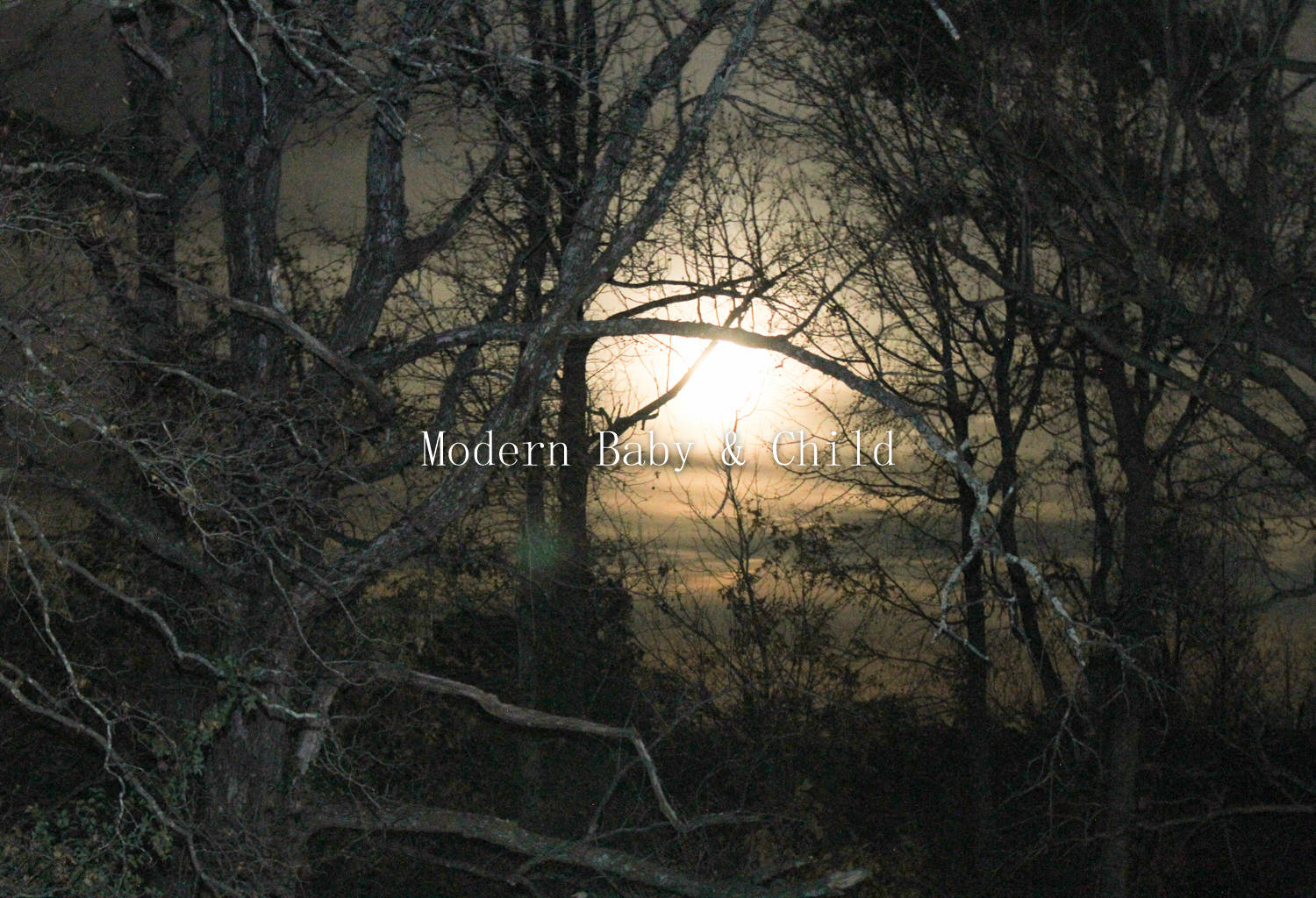 Spooky Halloween Moon Backdrop Digital Prop Halloween Fall - Etsy