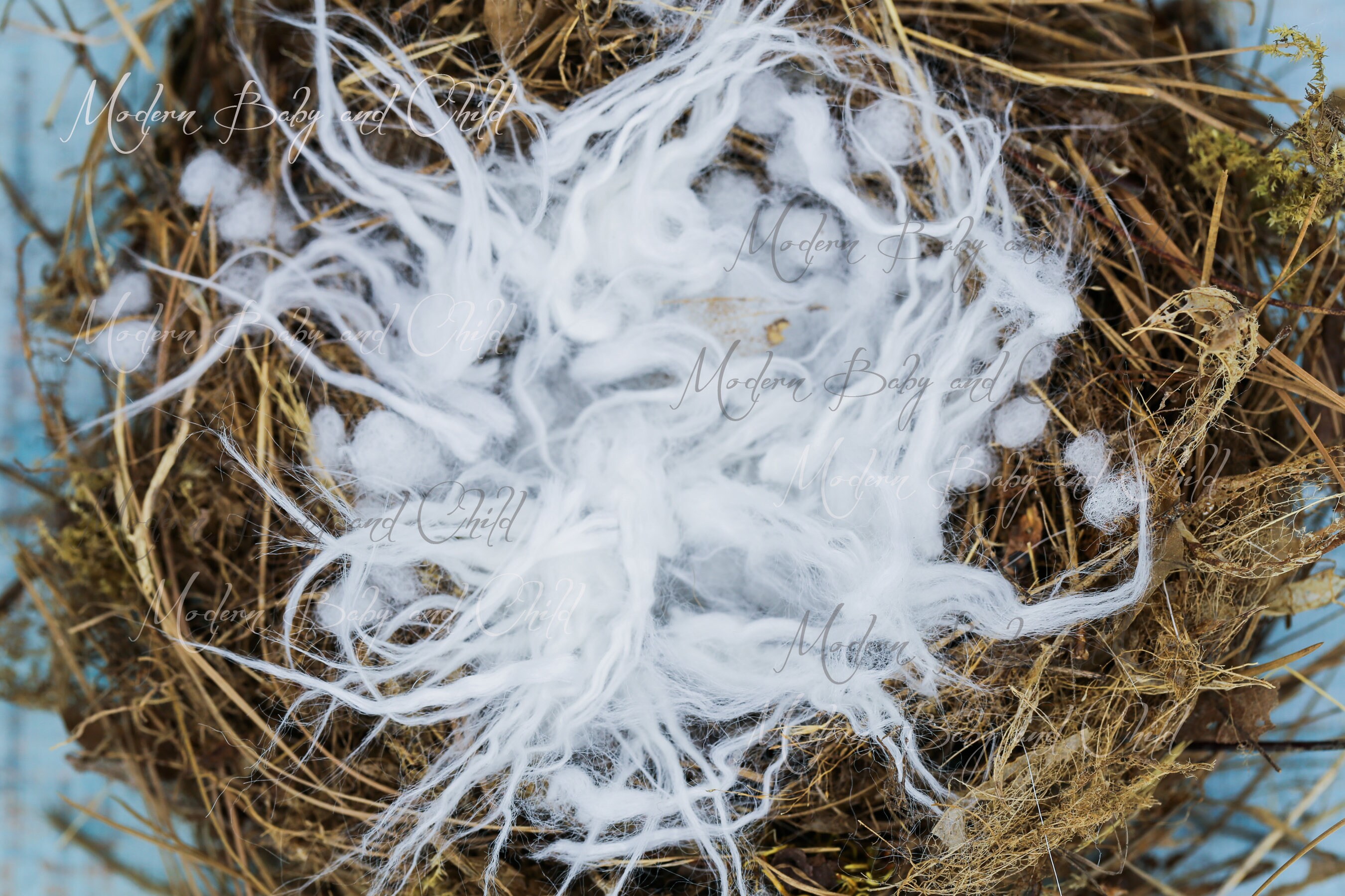 Newborn nest Backdrop DIGITAL with Props Side newborn Baby Boy prop ...