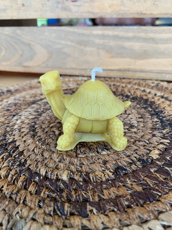 Beeswax Tortoise Candle Turtle Candle | Etsy