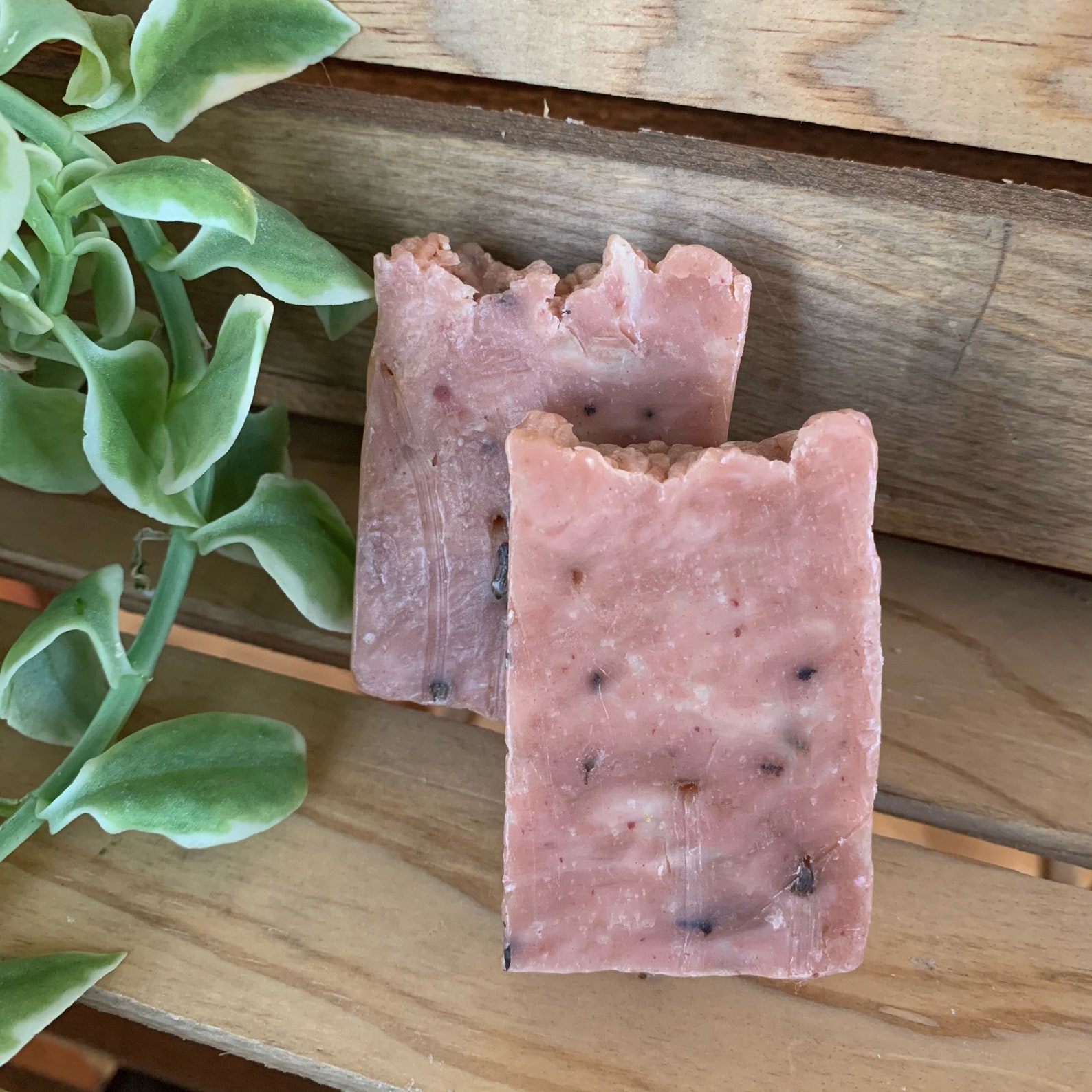 Sample Size Soap 40 or 100 Small Bars of Soap Great for Party | Etsy