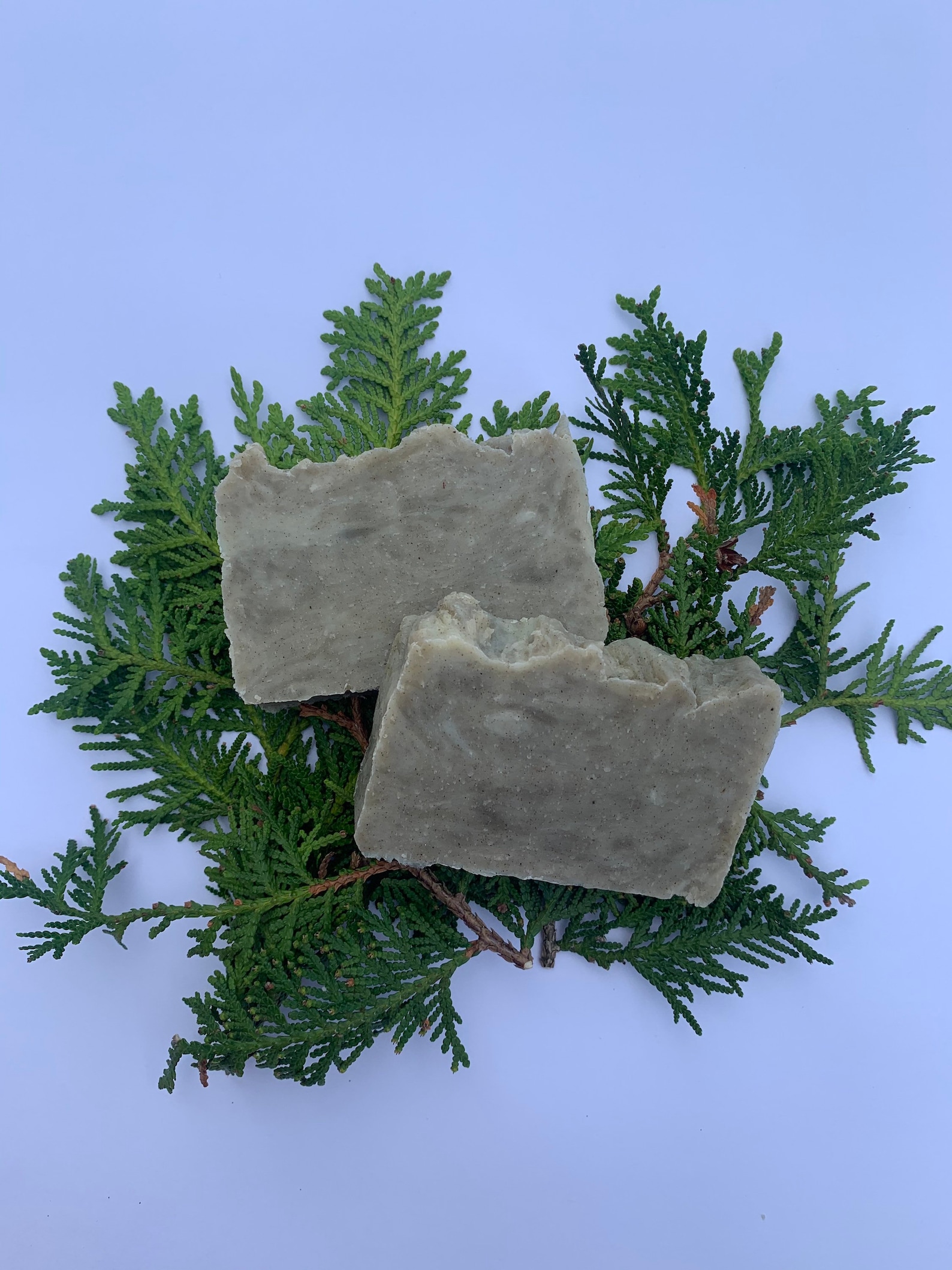 Evergreen Pine Soap- Bar-evergreen Pine Soap- Pine Needle Soap- Fir ...