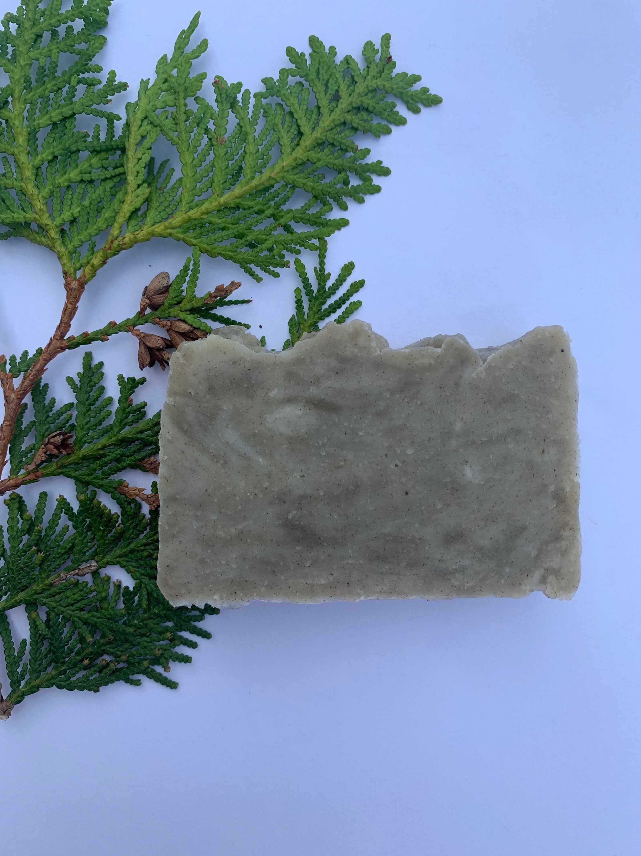 Evergreen Pine Soap- Bar-evergreen Pine Soap- Pine Needle Soap- Fir ...