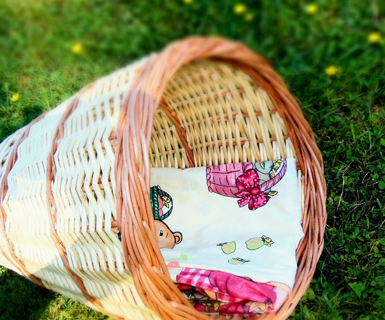 Schultüte Aus Weiden Flechten, Candy Cone, School Cone, Back to School ...