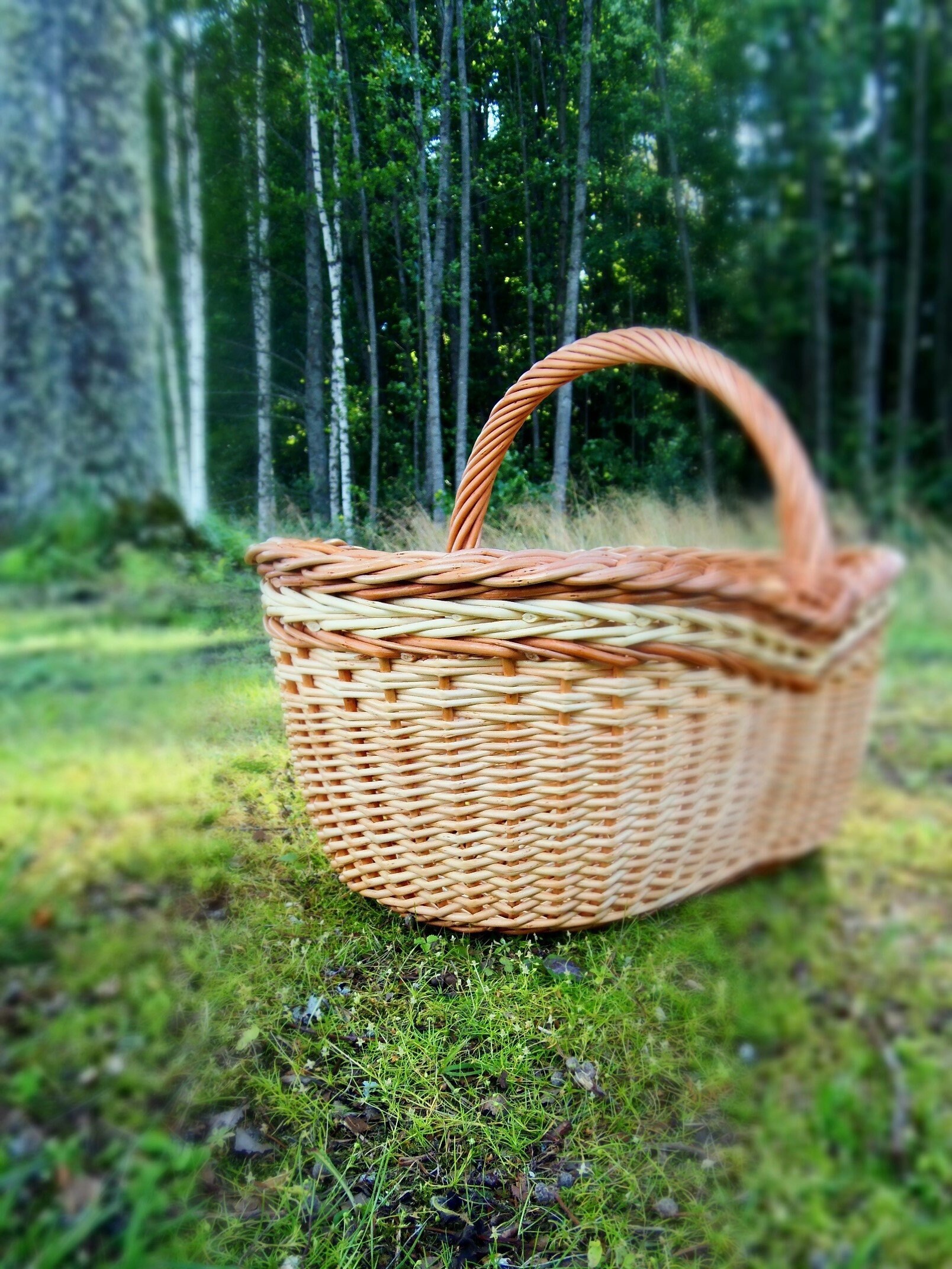 Basket Purse Wicker Purse Willow Purse Small Basket Purse Etsy basket-purse-wicker-purse-willow-purse-small-basket-purse-etsy