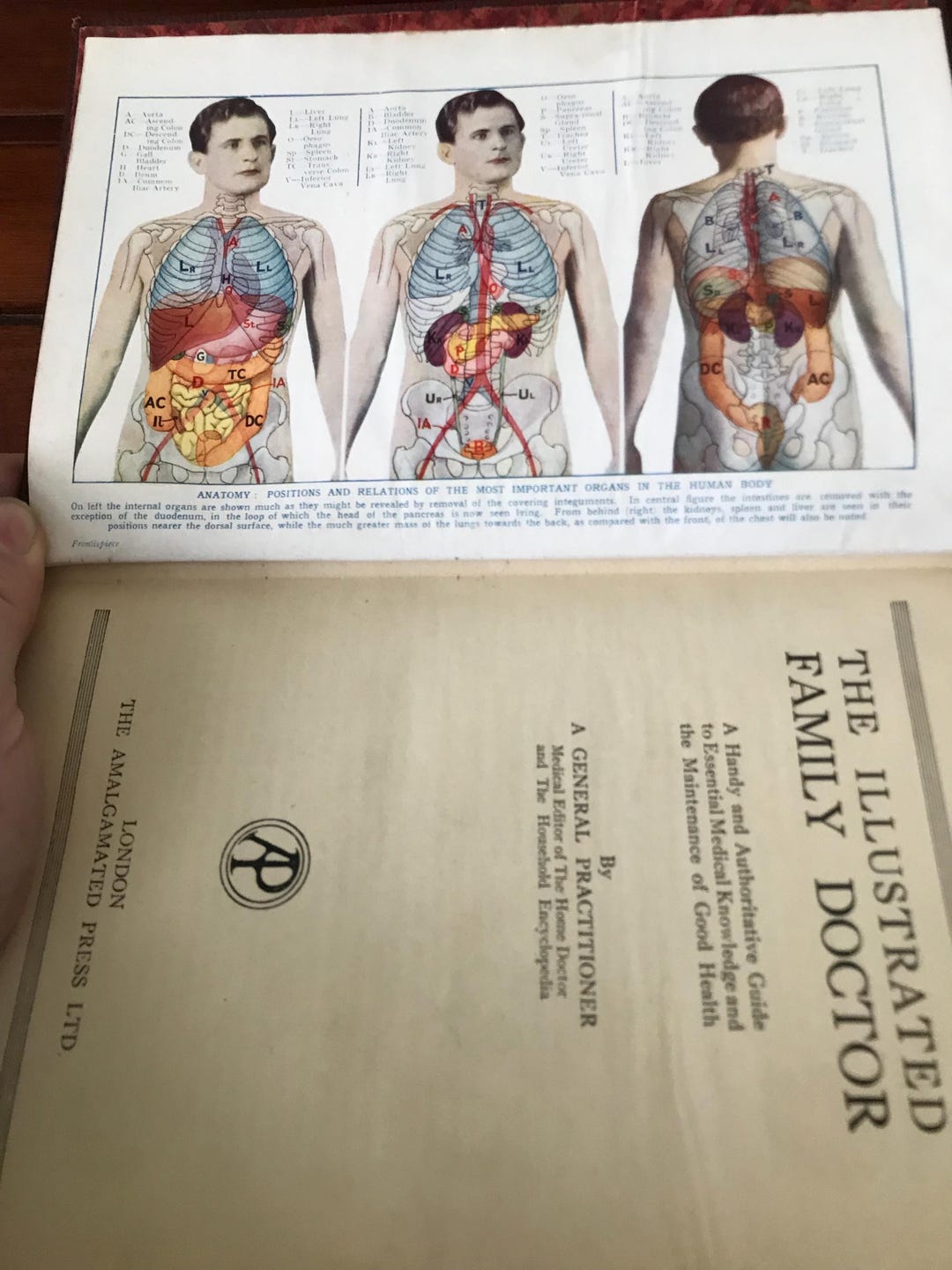 Illustrated Family Doctor by A General Practioner Vintage Book. - Etsy