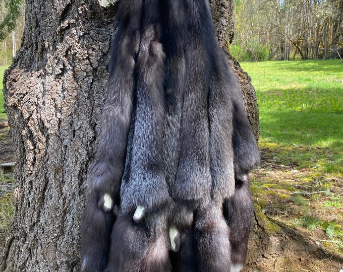 Tanned Wild Silver Fox Pelts Fur Hide Log Cabin Decor Rustic Man Cave ...