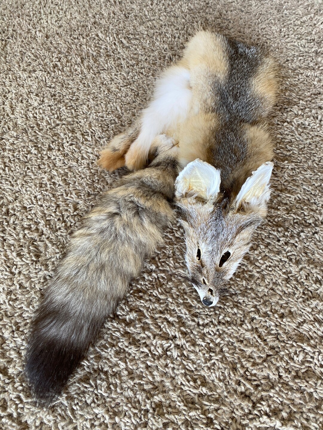 SELECT Kit Fox Tanned Real Pelt Log Cabin Decor Sweet Lil Pelt - Etsy