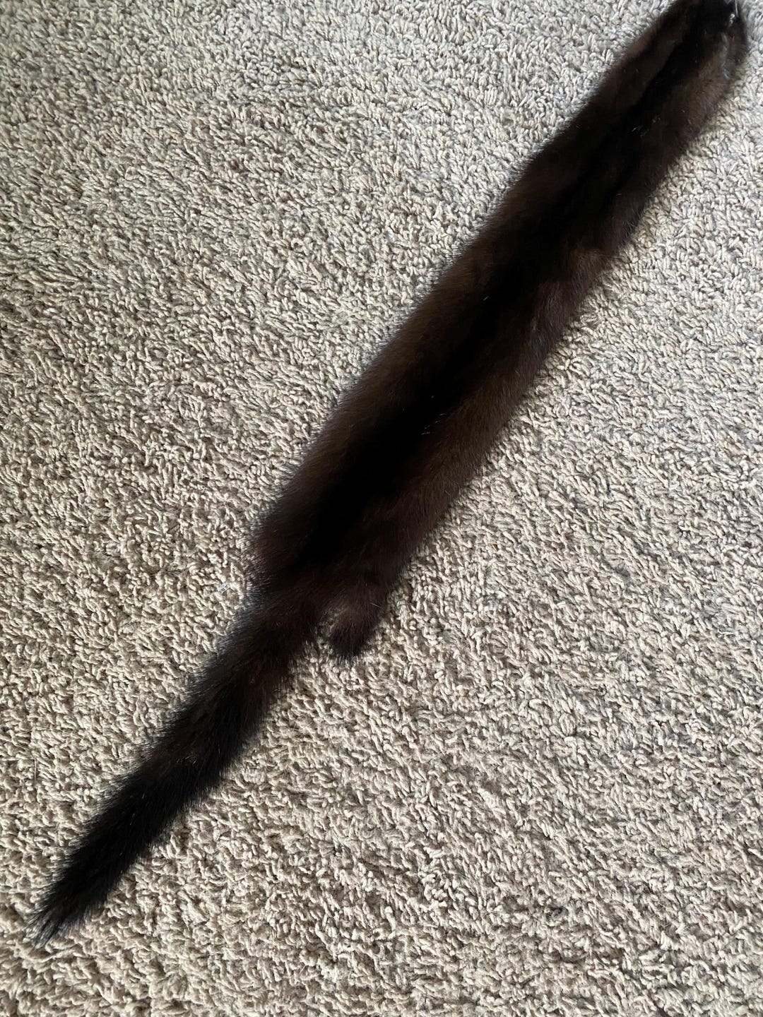 SELECT WILD MINK Pelt Tanned Log Cabin Decor Man Cave Art Leather Wild ...