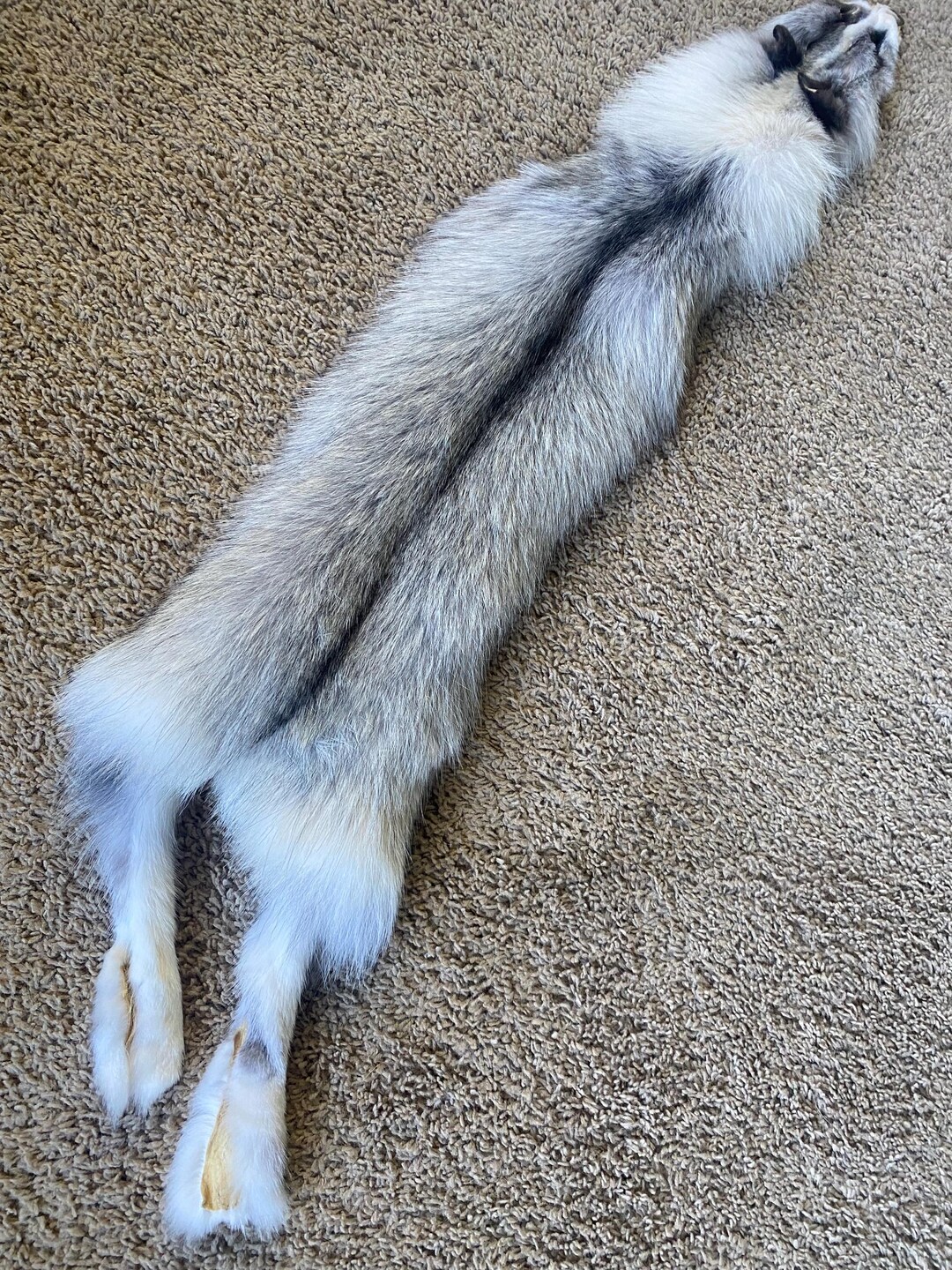 Ranch Fox Platinum Tanned Pelt Fur Great Leather Soft Fluffy Fur Great ...