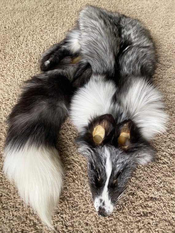 Gold Platinum Fox