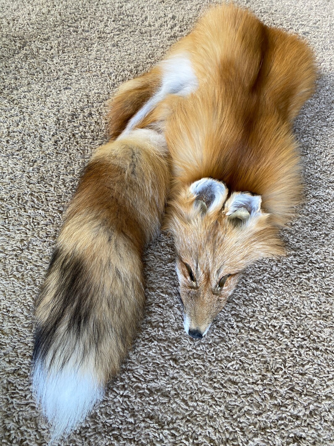 Heavy Red Fox Pelt Select Tanned Fur Farmed Great Leather Soft - Etsy