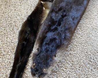 Native American Otter Pelts - Etsy