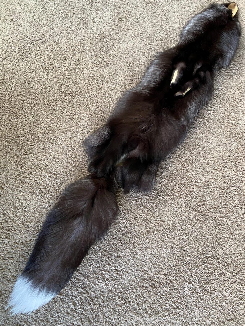 SELECT Ranch Silver Fox Pelt Tanned Fur Great Leather Soft Fluffy Fur ...